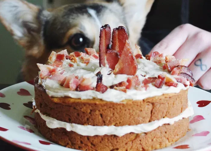 Indulge Your Pup with Delight: The Ultimate Dog Cake Recipe-Puainta®