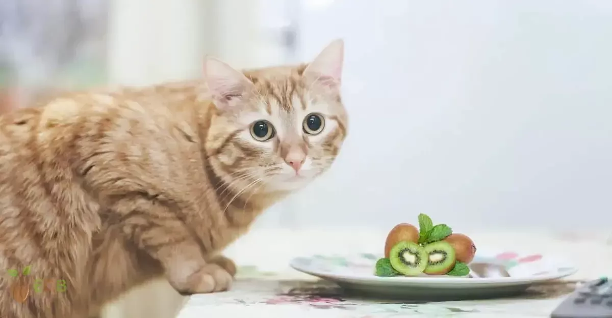 Can Cats Eat Kiwi