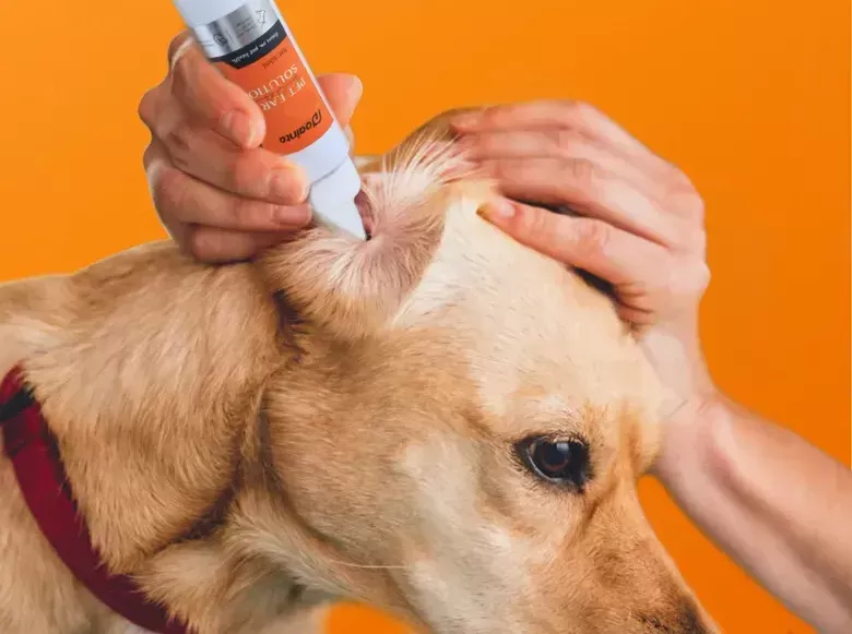 2025 Best Guide for Dog Ear Mites, Cause, Symptoms and Treatment