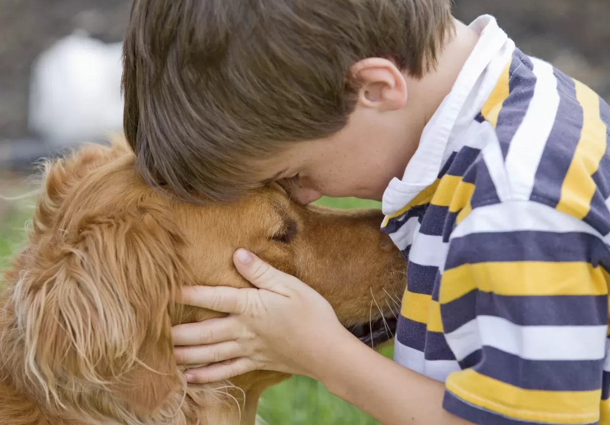 The 10 Best Dogs for Kids