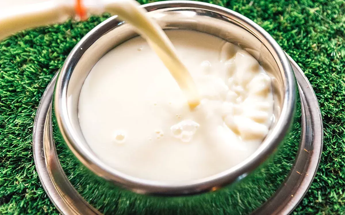 The Benefits and Considerations of Goat Milk for Dogs